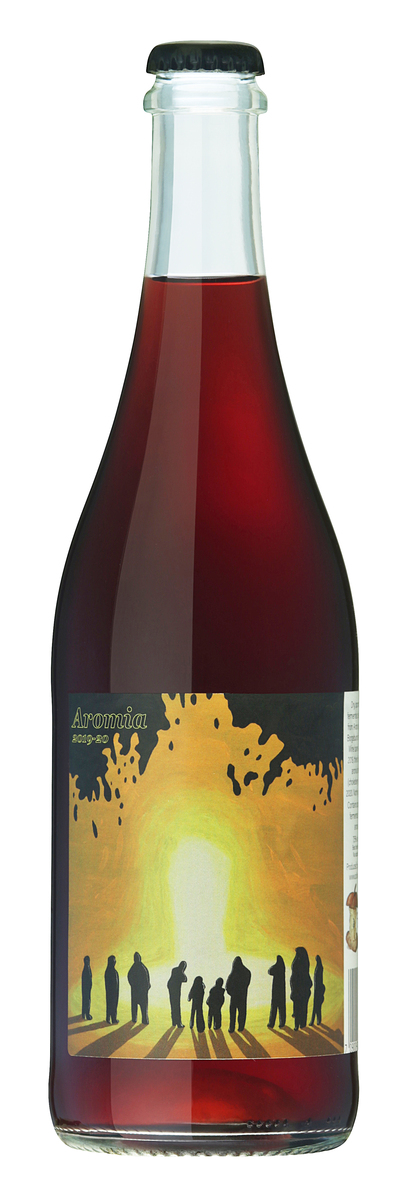 Solhøi Cider Aromia - Vinmonopolet