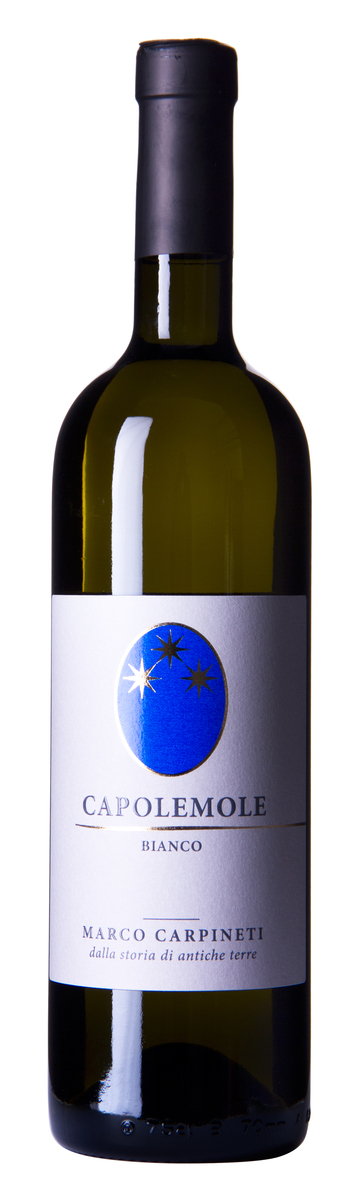 Marco Carpineti Capolemole Bianco 2021 - Vinmonopolet