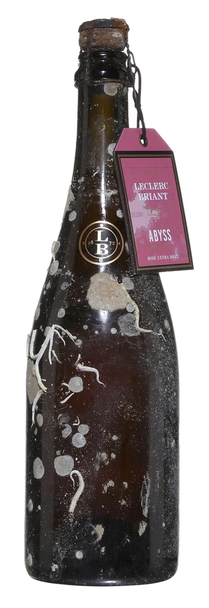 Leclerc Briant Abyss Rose Extra Brut Millesime 2018 - Vinmonopolet